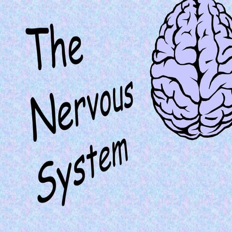 Nervous system class 5 | PPTX