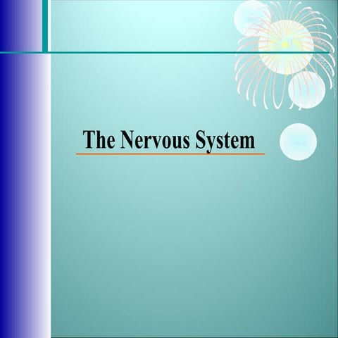 The Nervous System.power point presentation | PPT