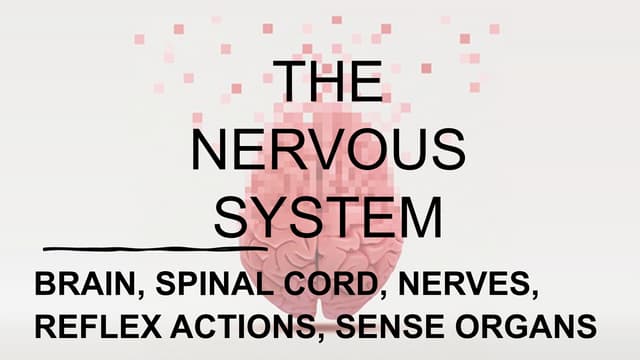 Nerves system(CNS, PNS) | PPT
