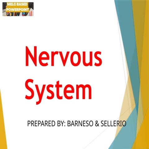 The Nervous System and function of human brain | PPTX