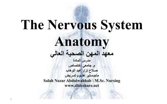 REVIEW ANATOMY AND PHYSIOLOGY OF NERVOUS SYSTEM.pptx