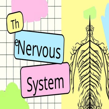 GENERAL BIOLOGY 2 THE NERVOUS SYSTEM OFT | PPTX