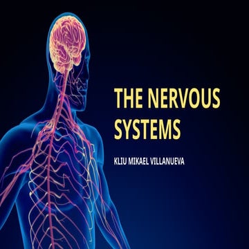 The Nervous System Science 10 lesson for third quarter.pptx