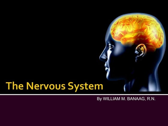 Introduction to the nervous system | PPT