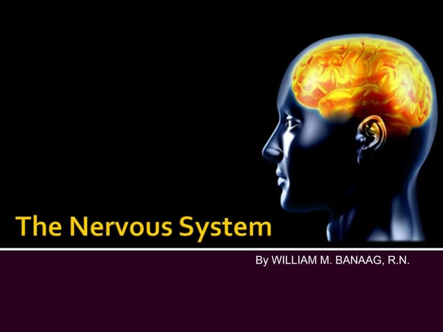 Transmission of nerve impulses | PPT