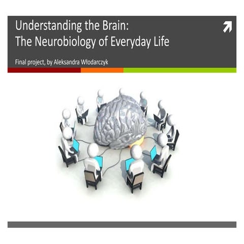 The neurobiology of everyday life final project | PPT