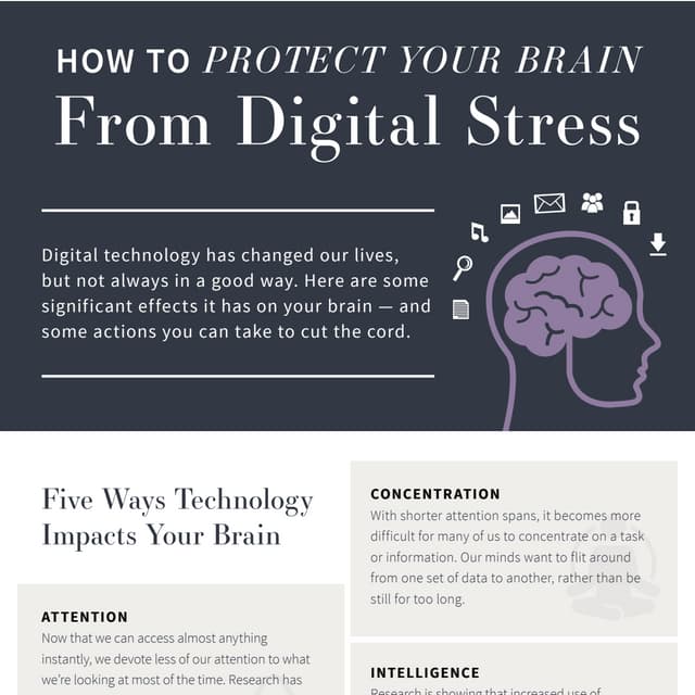 Digital Stress Guide | PDF