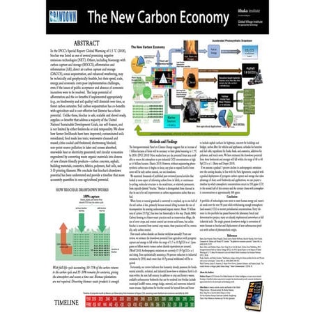The new carbon economy | PDF
