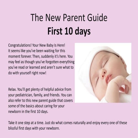 The New Parent Guide | PDF