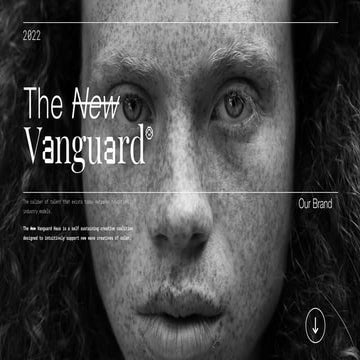 The New Vanguard Overview.pdf