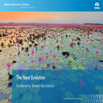 The Next Evolution - Accelerating Toward Abundance | PDF