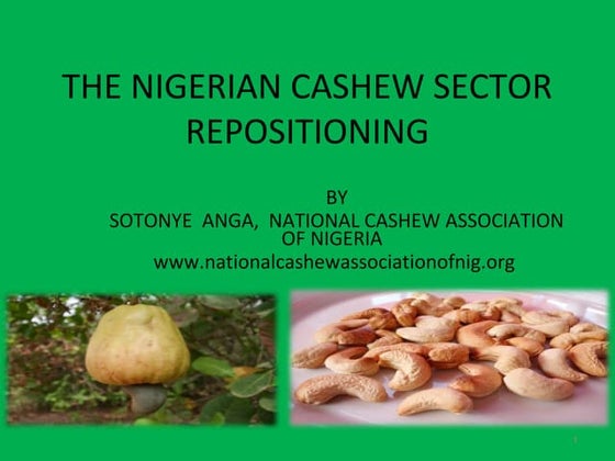 Cash in cashew by sotonye anga | PPT