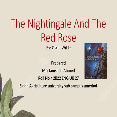 The Nightingale And The Red Rose prepared By Jamshed Ahmed | PPT