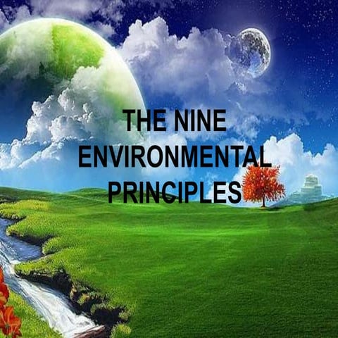 The-Seven(7)-Environmental-Principles-.pdf