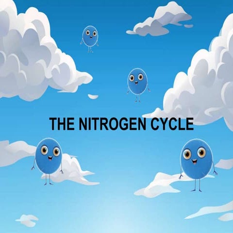 The Nitrogen Cycle | PPT
