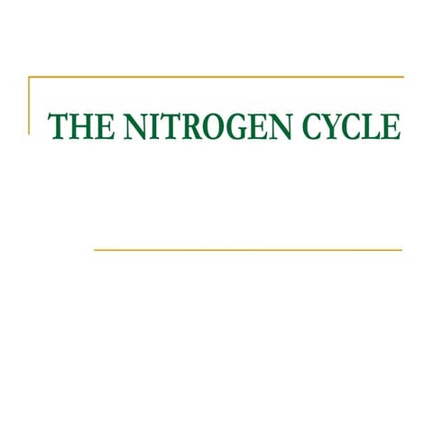 THE NITROGEN CYCLE for highschool student | PPTX
