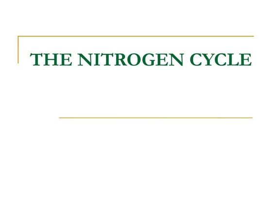 01_Nitrogen Cycle | PPT