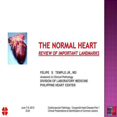 The Normal Heart: Review of Important Anatomic Landmarks | PPTX