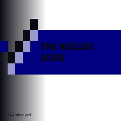 The nucleic acids | PPT