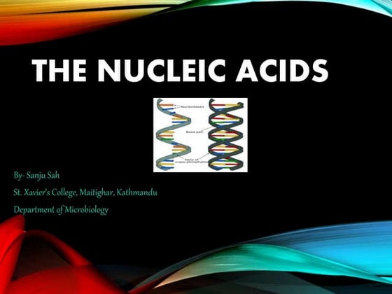 Nucleic acids: structure and function | PPTX | Chemistry | Science