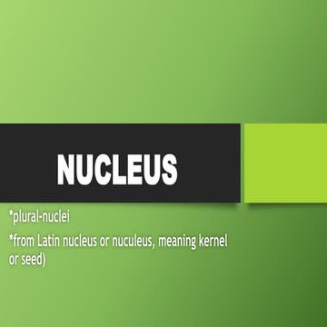 THE NUCLEUS: Description, contents and others | PPT