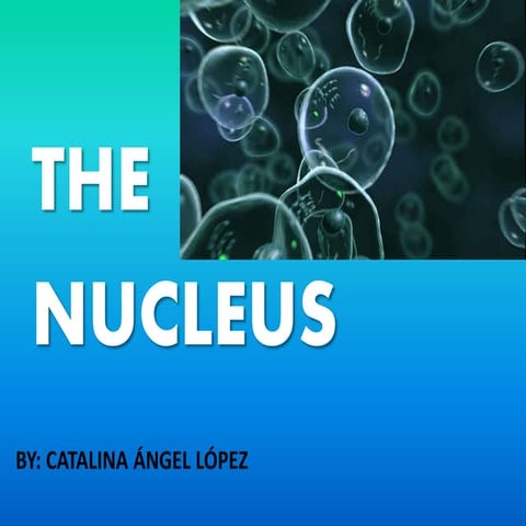 The nucleus | PPT