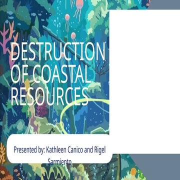 The Ocean Project A Youth Guide to the Ocean Lesson 2.2 - ‘Coastal ...