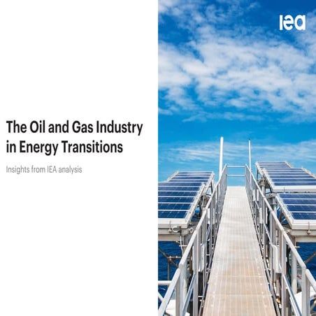 The_Oil_and_Gas_Industry_in_Energy_Transitions.pdf