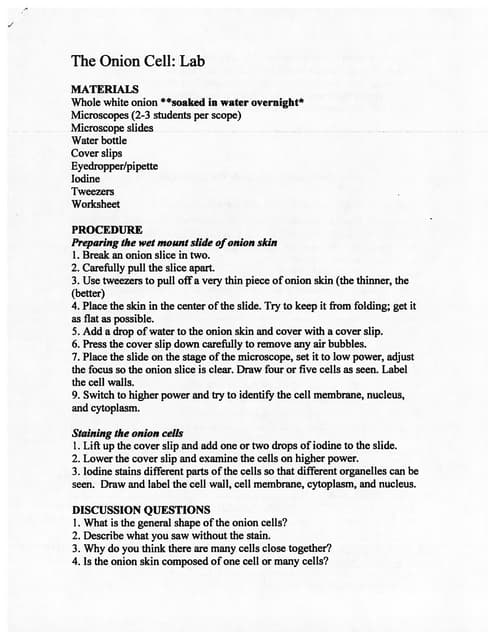 Microscope Mania Lab Sheet