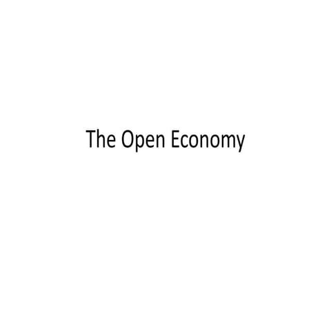 The Open Economy Pptx