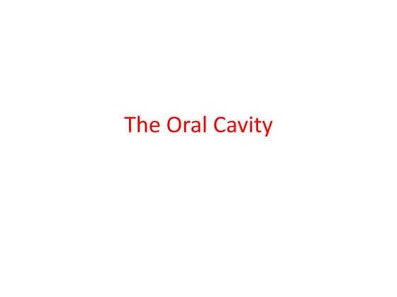 Oral Cavity | PPT