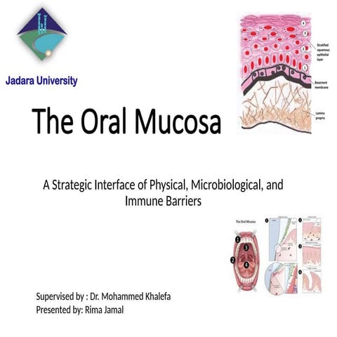 The Oral Mucosa. A Strategic Interface of Physical, Microbiological ...