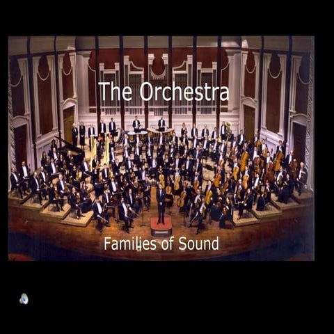 The orchestra | PPTX