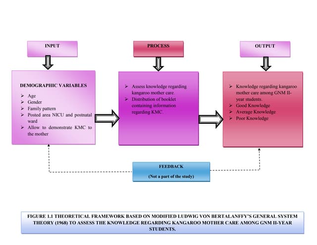 Theoretical Framework Figure Docx