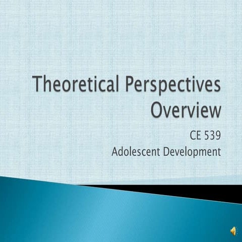 Theoretical Perspectives Overview | PPSX