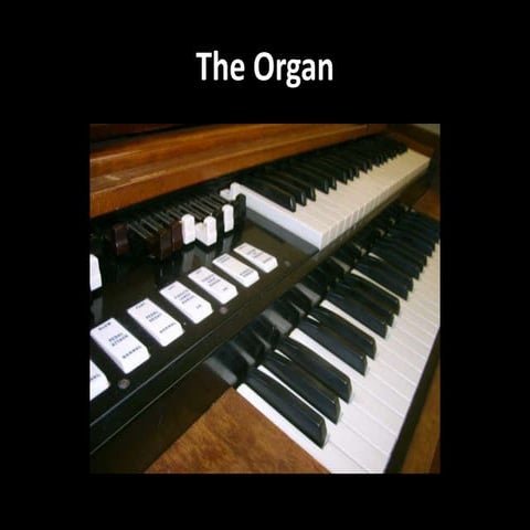 The Organ | PPTX