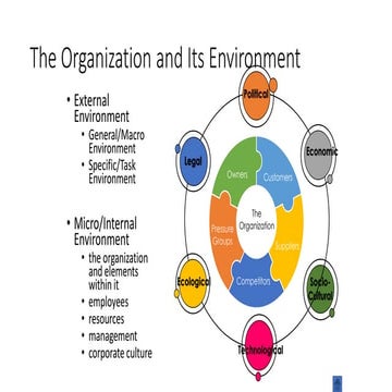 The Organization and Its Environment.pdf