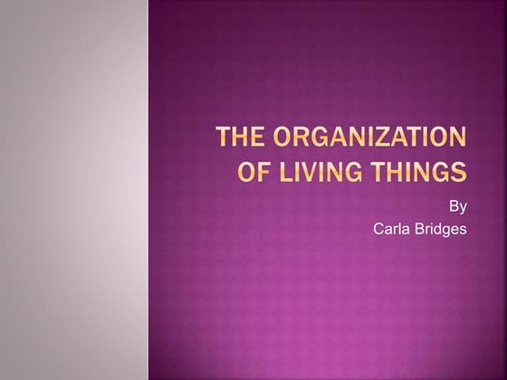 Organization organisms | PPT