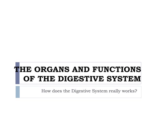Digestive system Lesson for Grade 6 students.pdf