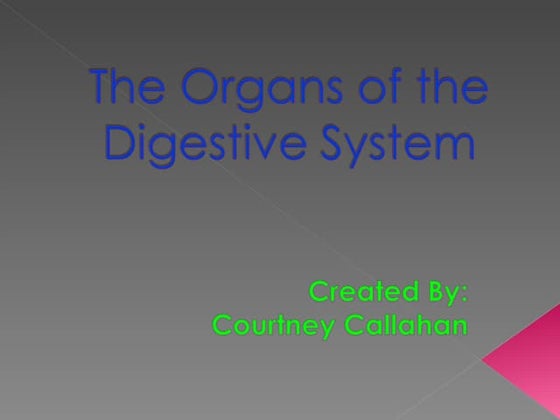 Animal Digestive System | PPT