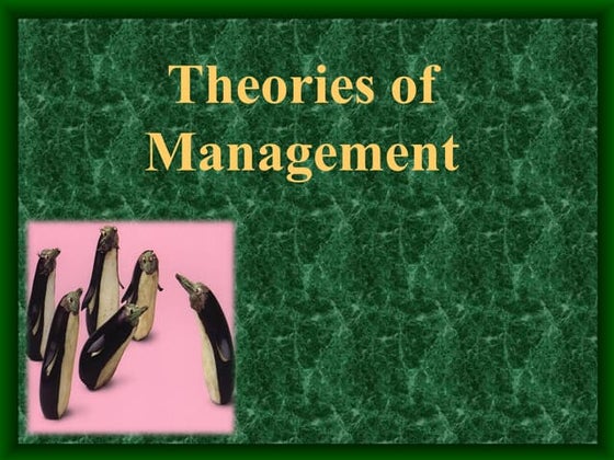 elements of theorories in managment.pptx