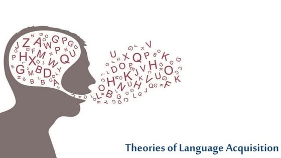 Language acquisition - the behaviorist theory | PPTX