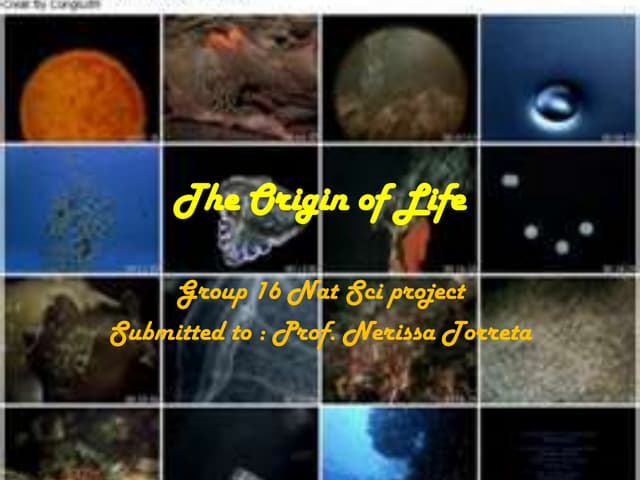 ZOO1 -Theories on the origin of life | PPTX