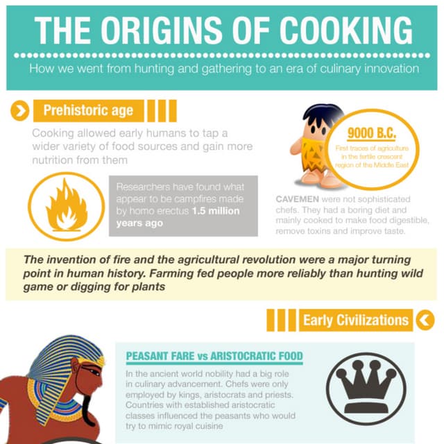 Infographic: The Origins of Cooking | PDF