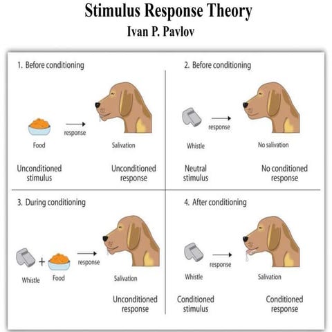 Stimulus Response Theory