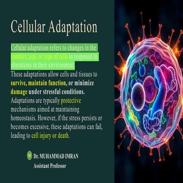 Theory 2 Cellular adaptation.pptx…………….. | PPTX