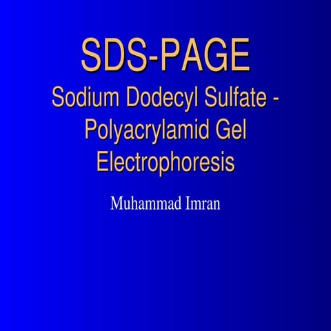Theory Lec 6 SDS-PAGE by imran.ppt Gel Electrophoresis | PPT