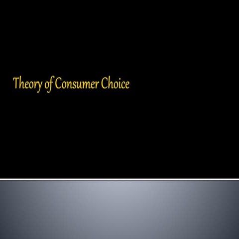 Theory of Consumer Choice Lecture Notes (Economics) | PPTX