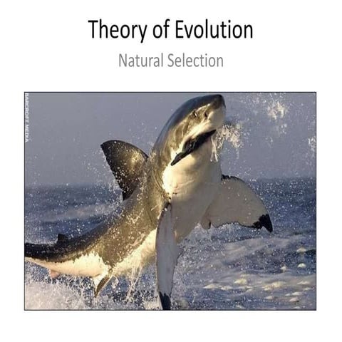 Theory of evolution notes | PPT