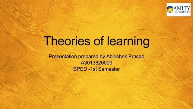 Kohler Insightful learning theory | PPTX